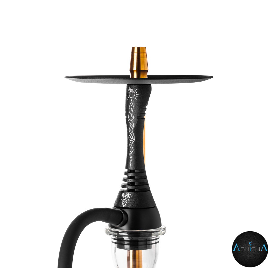 Alpha Model S Erida