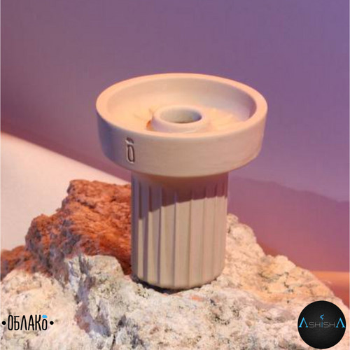 Ashisha Online | ASHISHA